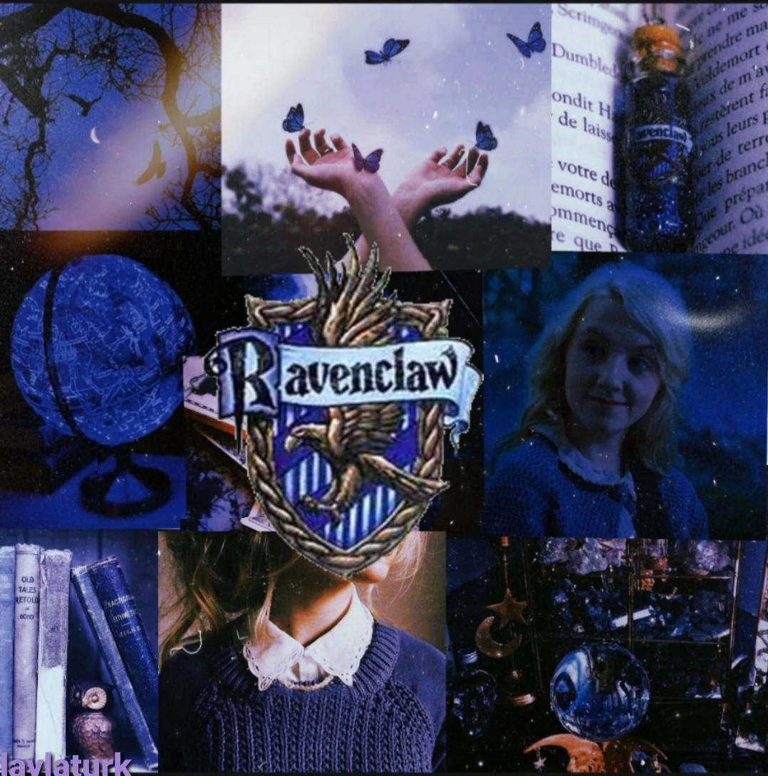 🌌Ravenclaw 🌌 asthetic | Fandom
