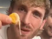 I like my cheese drippy bruh | Fandom