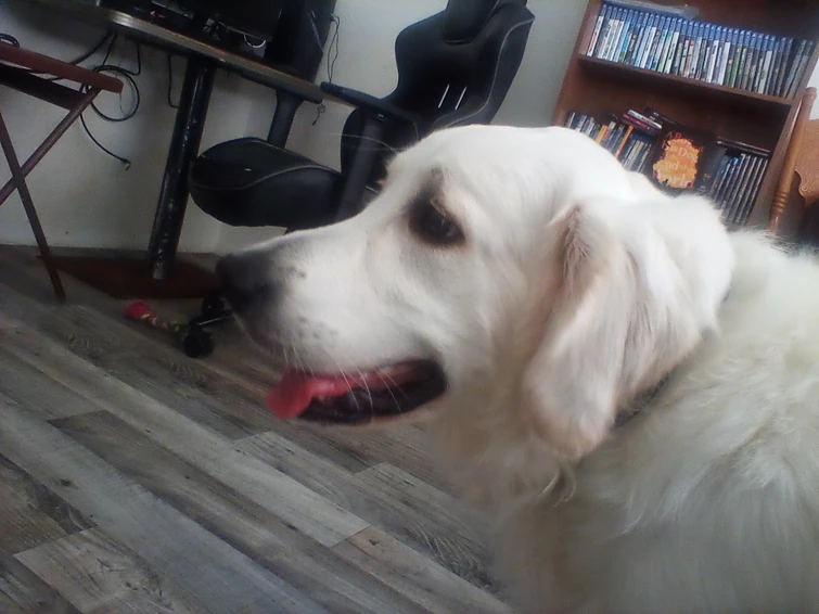 hello I'm back | Fandom