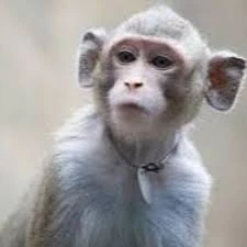 Ughhhhhhhhh | Fandom