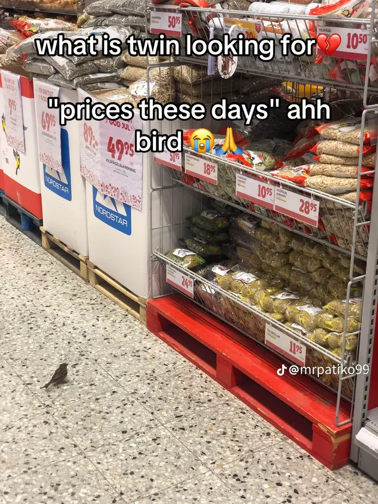 Whats the new rule??? | Fandom