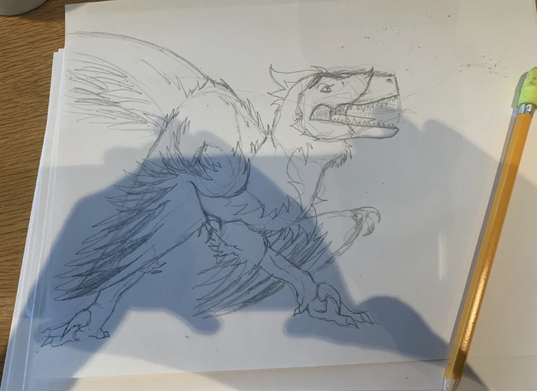 Stupid sketch | Fandom