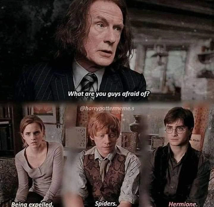 HP Memes | Fandom