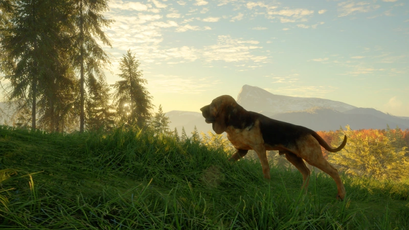 Bloodhound DLC | Fandom