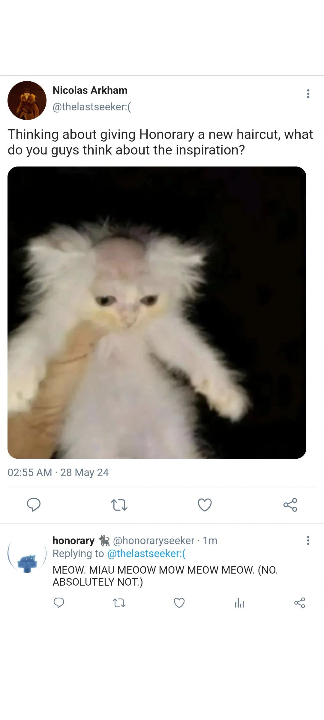 Nicolas' new haircut idea for Honorary | Fandom