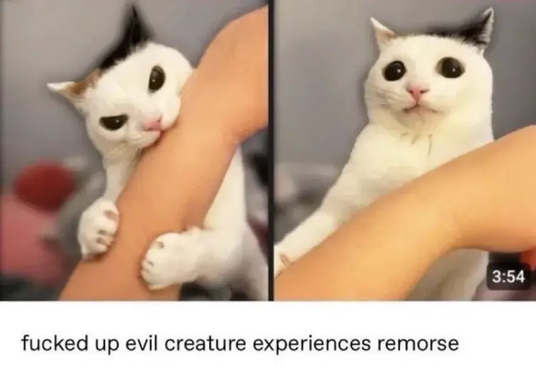 Discuss Everything About Tattletail Roblox RP Wiki | Fandom