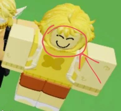 unnamed happy 3d ugc face | Fandom