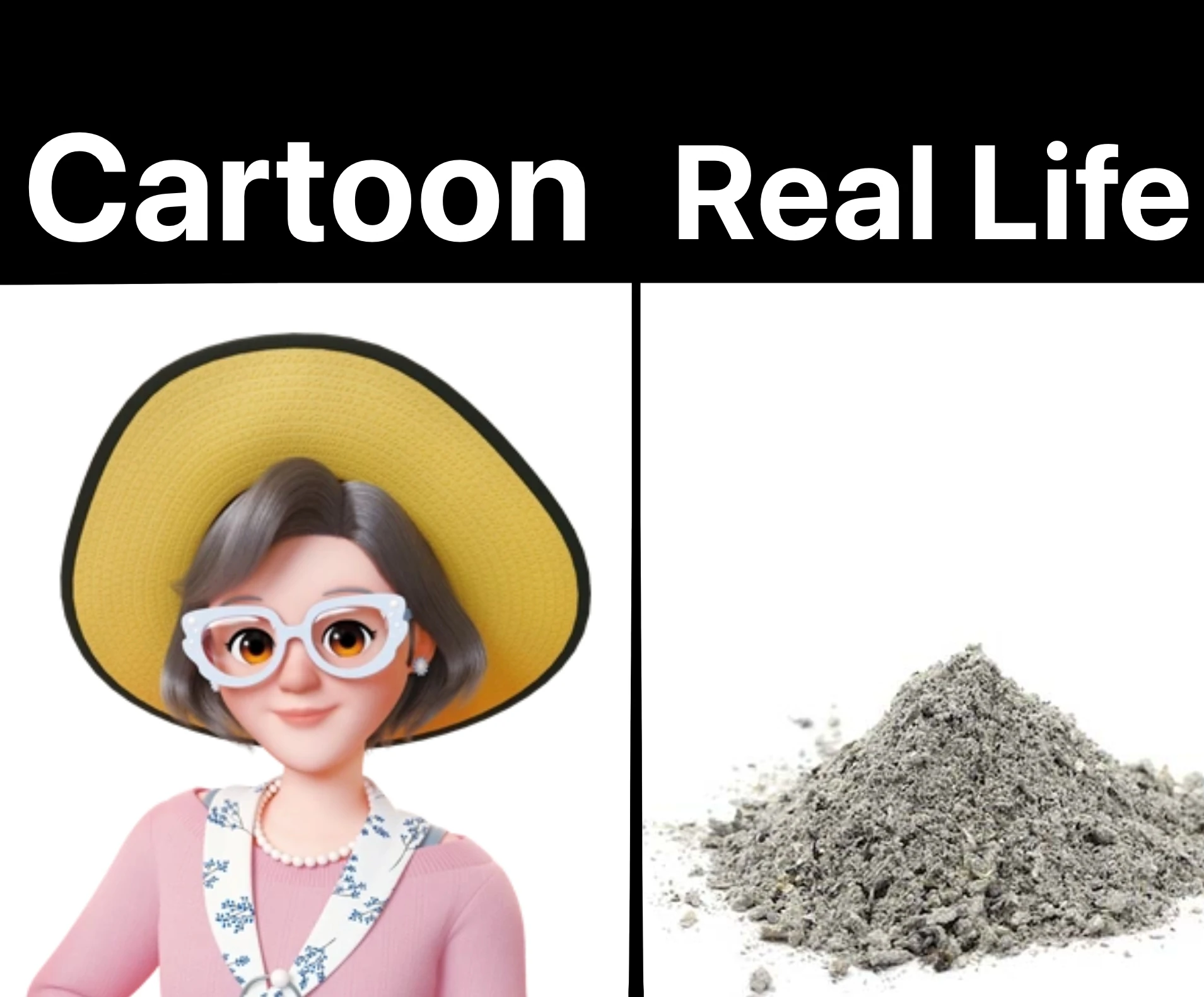 Cartoon vs real life!!!!!! | Fandom