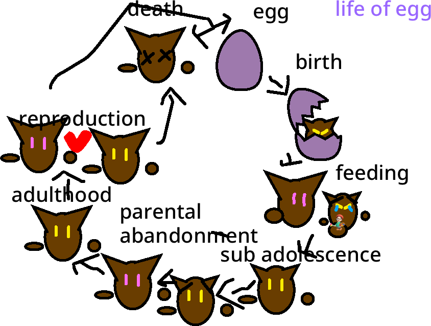 life cycle of egg | Fandom