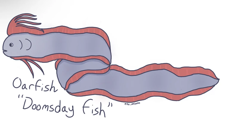 Oarfish drawing | Fandom