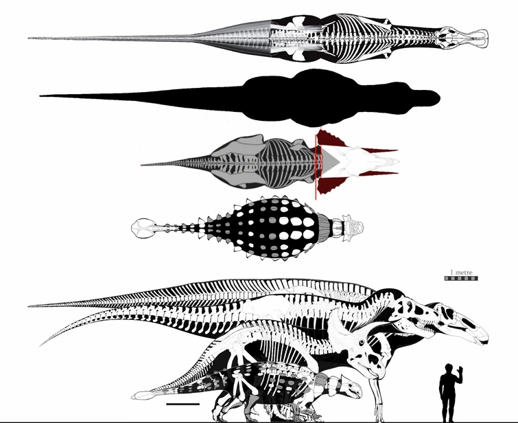 Hell Creek Formation fauna; Tyrannosaurus, Edmontosaurus Annectens ...
