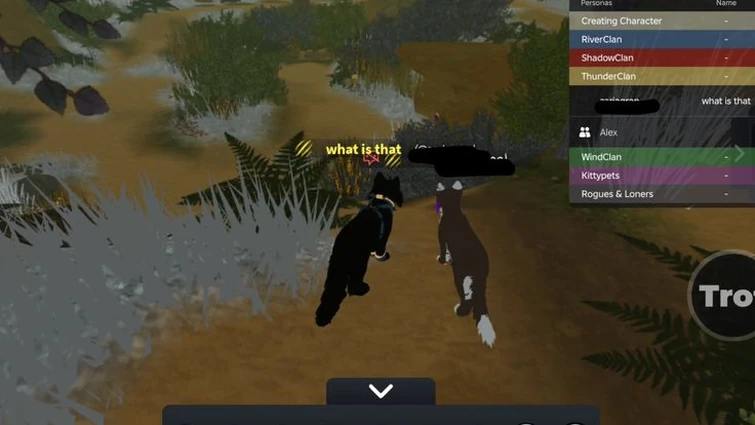 Discuss Everything About Npc Wcue Wiki | Fandom