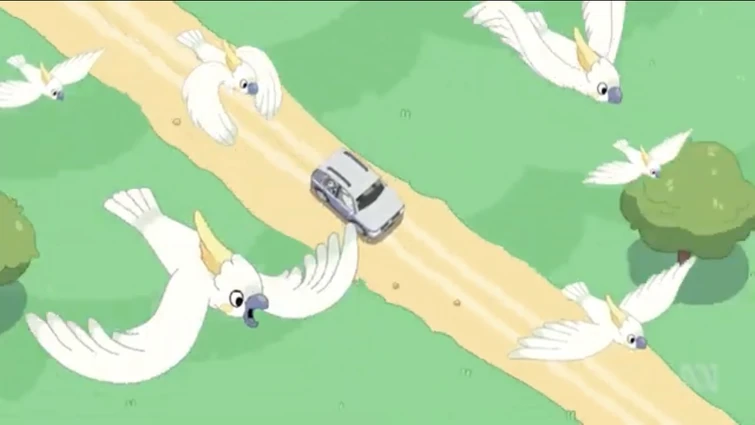 Trying to recognize birds in Bluey | Fandom