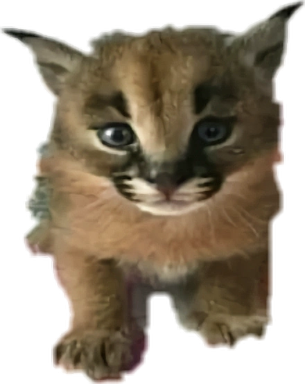 Baby floppas tho- | Fandom