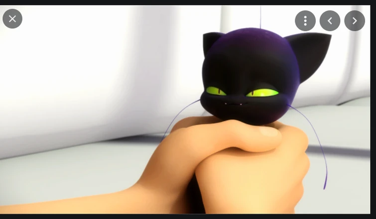 Squish that cat | Fandom