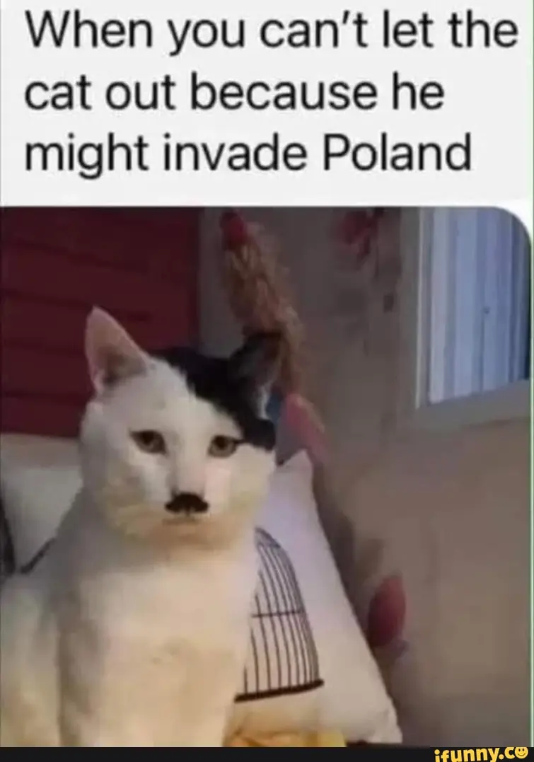 When you can't let the cat out because he might invade poland | Fandom