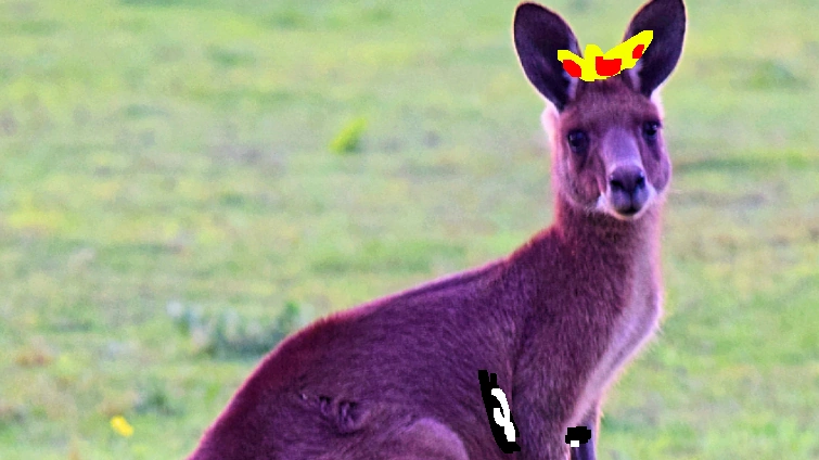 get real (no ai) | Fandom