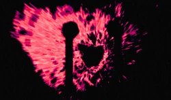 Be back soon | Fandom