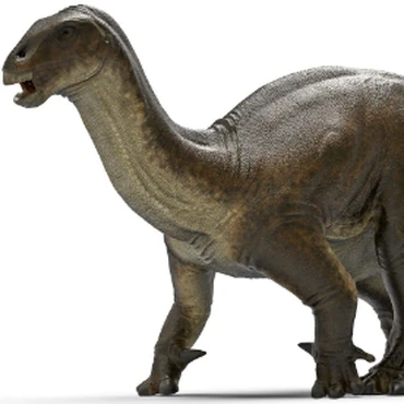 Discuss Everything About Dinopedia | Fandom