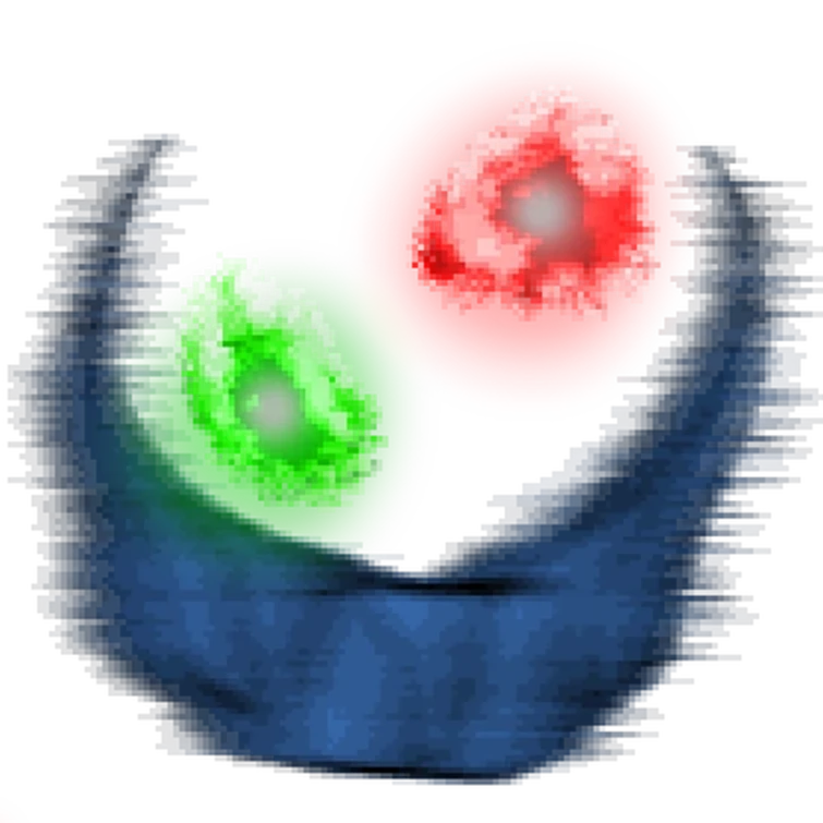 remember your first entity | Fandom