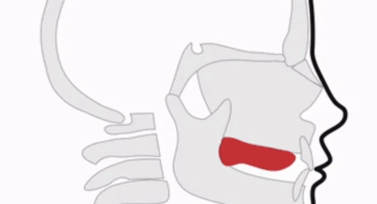 Day 1-100 of mewing | Fandom