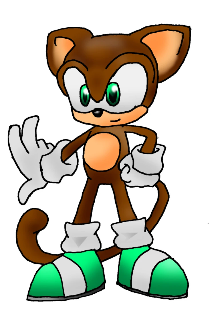 Custom made Sonic character | Fandom