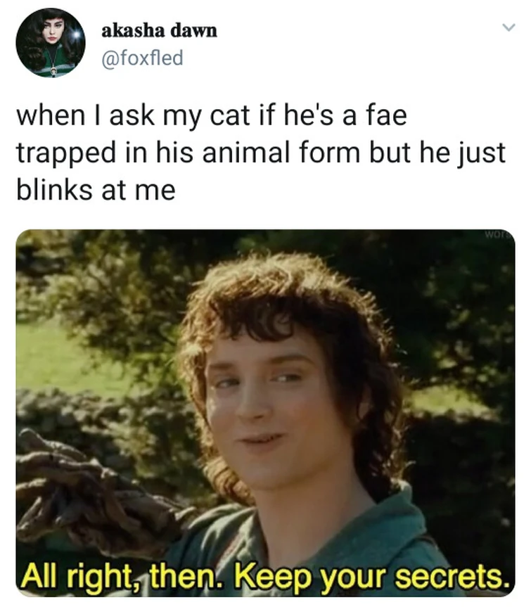 Memes At 11 | Fandom