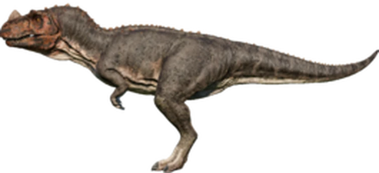 I don't know if anyone else noticed | Fandom