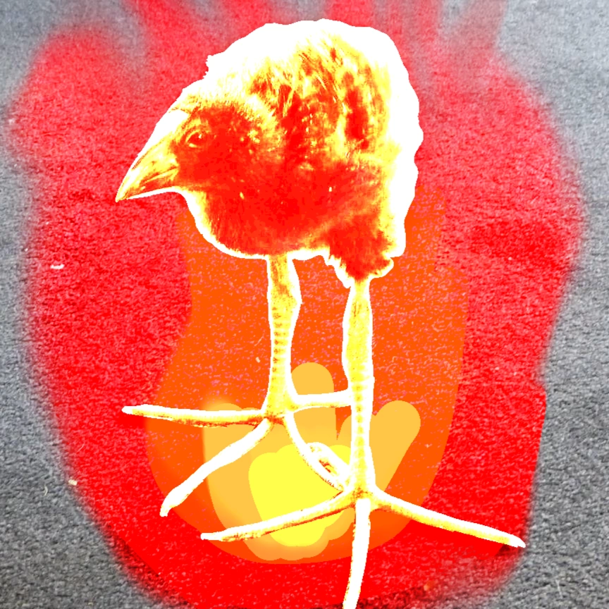 i happen to be on fire | Fandom