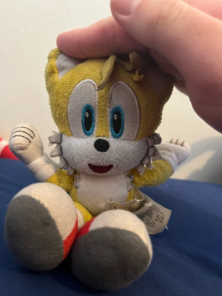 Petting Tails | Fandom