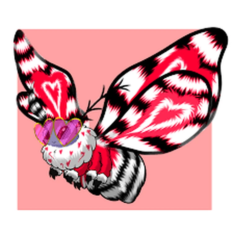 Hehehehe Moth boi | Fandom