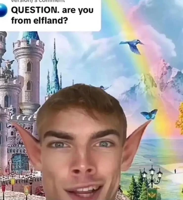 are you from elfland | Fandom