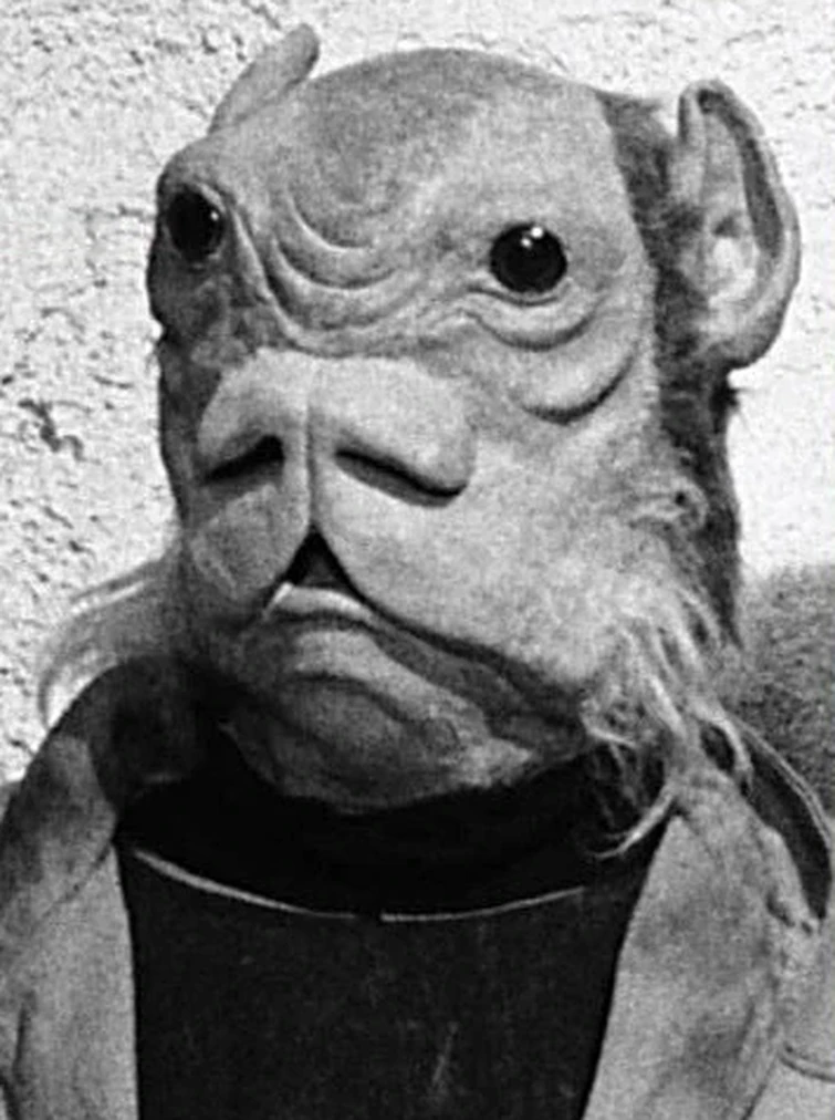 Discuss Everything About Wookieepedia | Fandom