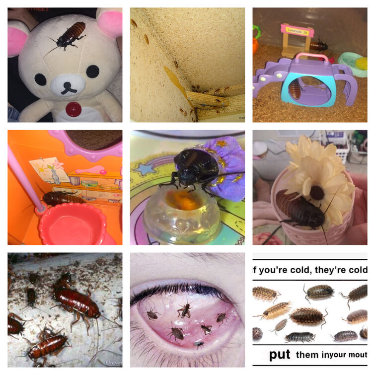 What do i call this aesthetic | Fandom