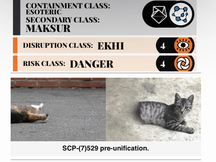 Who split dis cat in half | Fandom