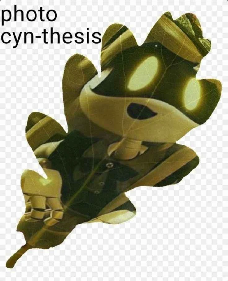A Cyn meme from discord | Fandom