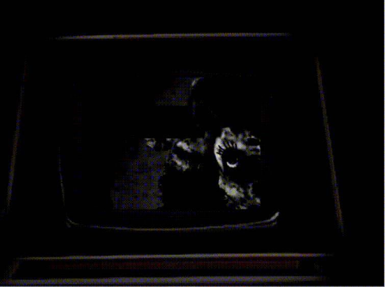 Discuss Everything About The New Walten Files Wiki | Fandom