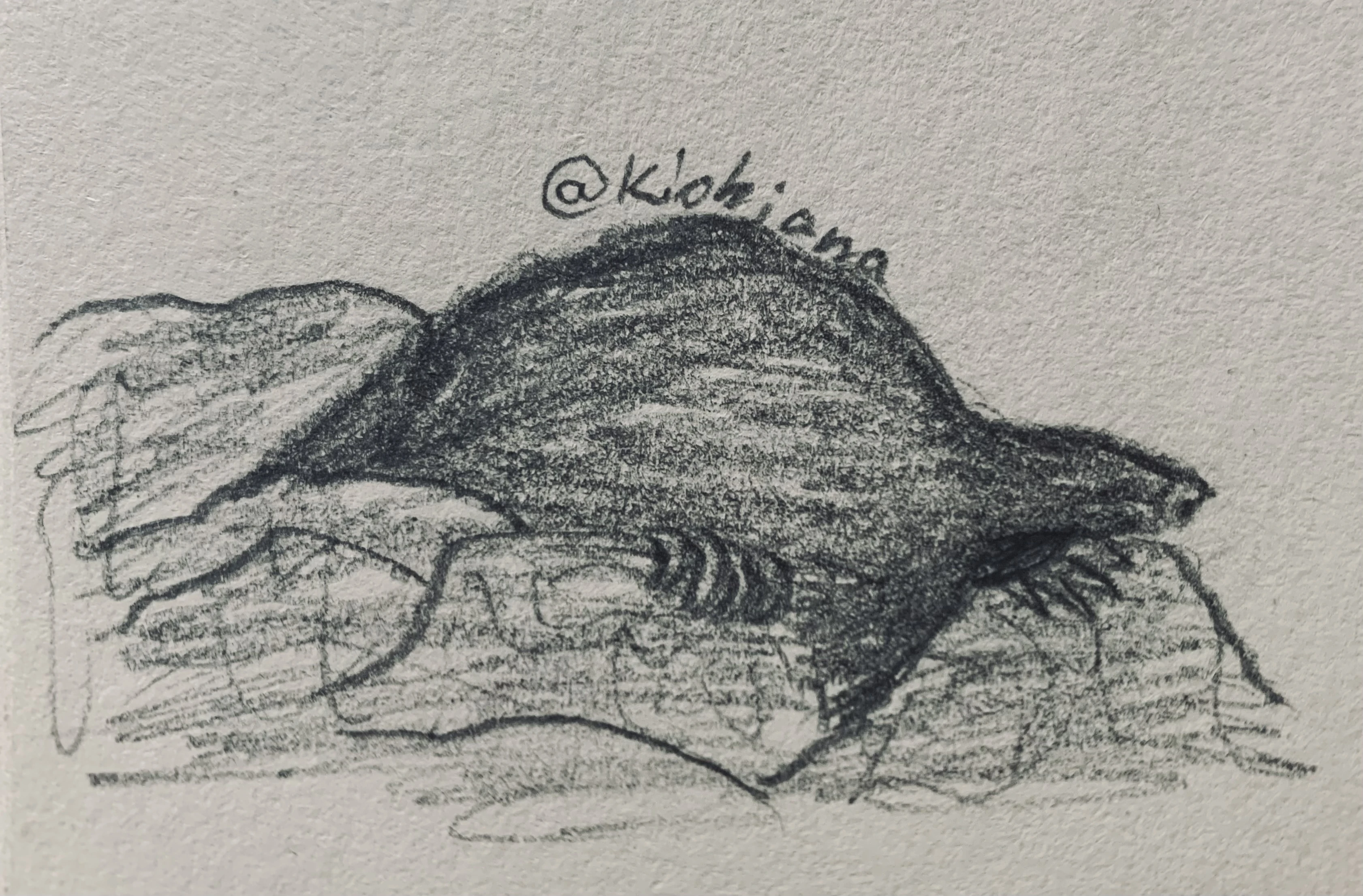 DRAWING ADOPT ME PETS REALISTICALLY PART 7 😎 | Fandom