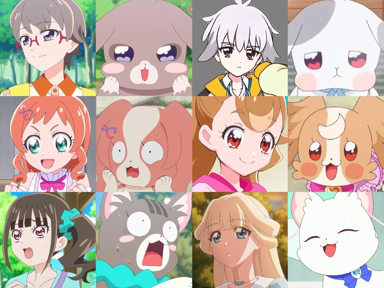 The Wonderful Precure Main 6 as humans and Animals | Fandom