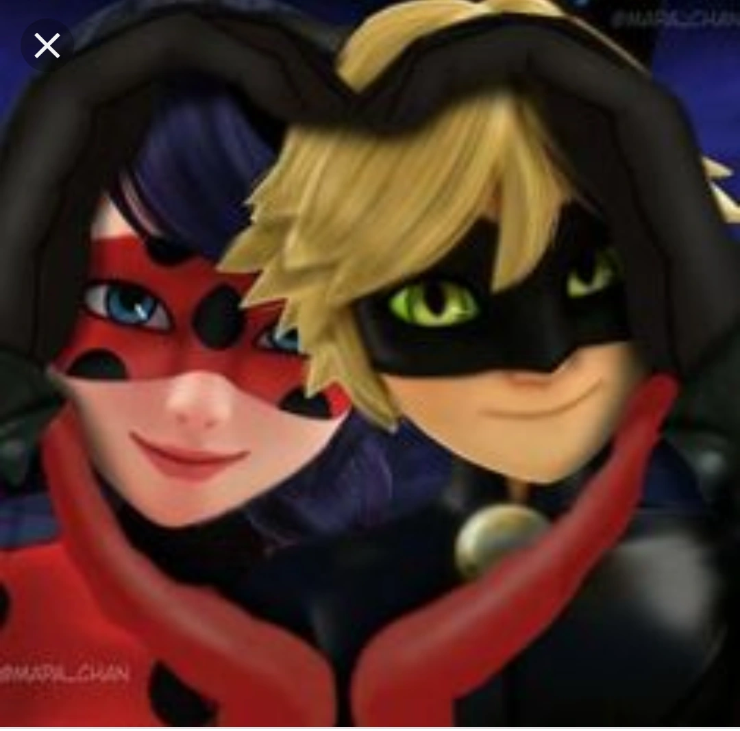 Ladynoir | Fandom