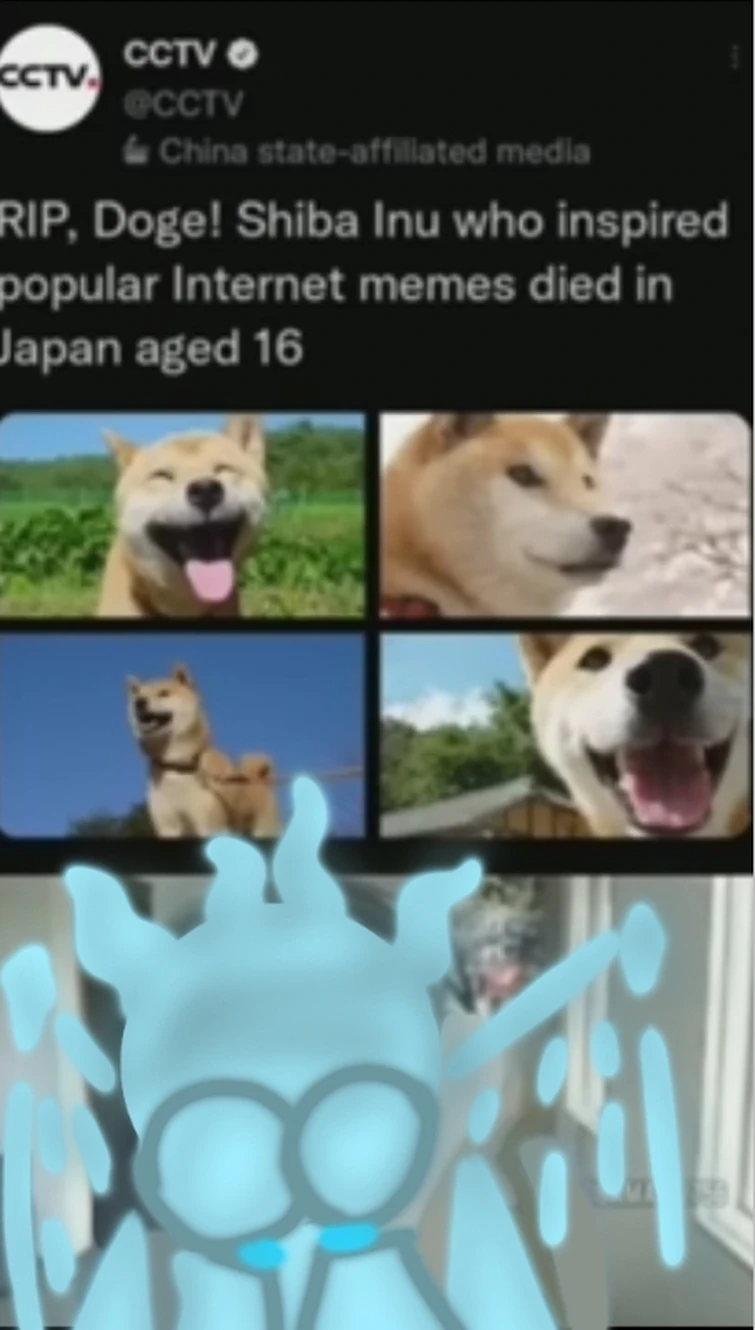 "NOOOOOOOOOOOOOOOOO"-guiding light | Fandom