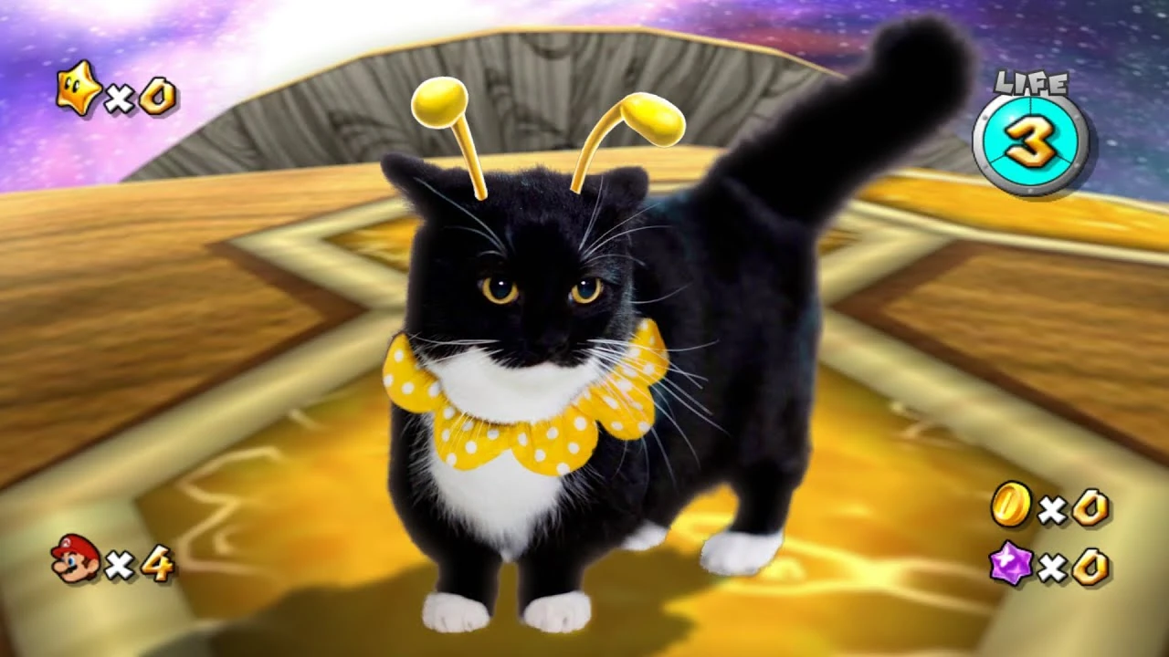 GUYS1!!11!!1 Souper Mario Galexer got a new update!11!!11 | Fandom