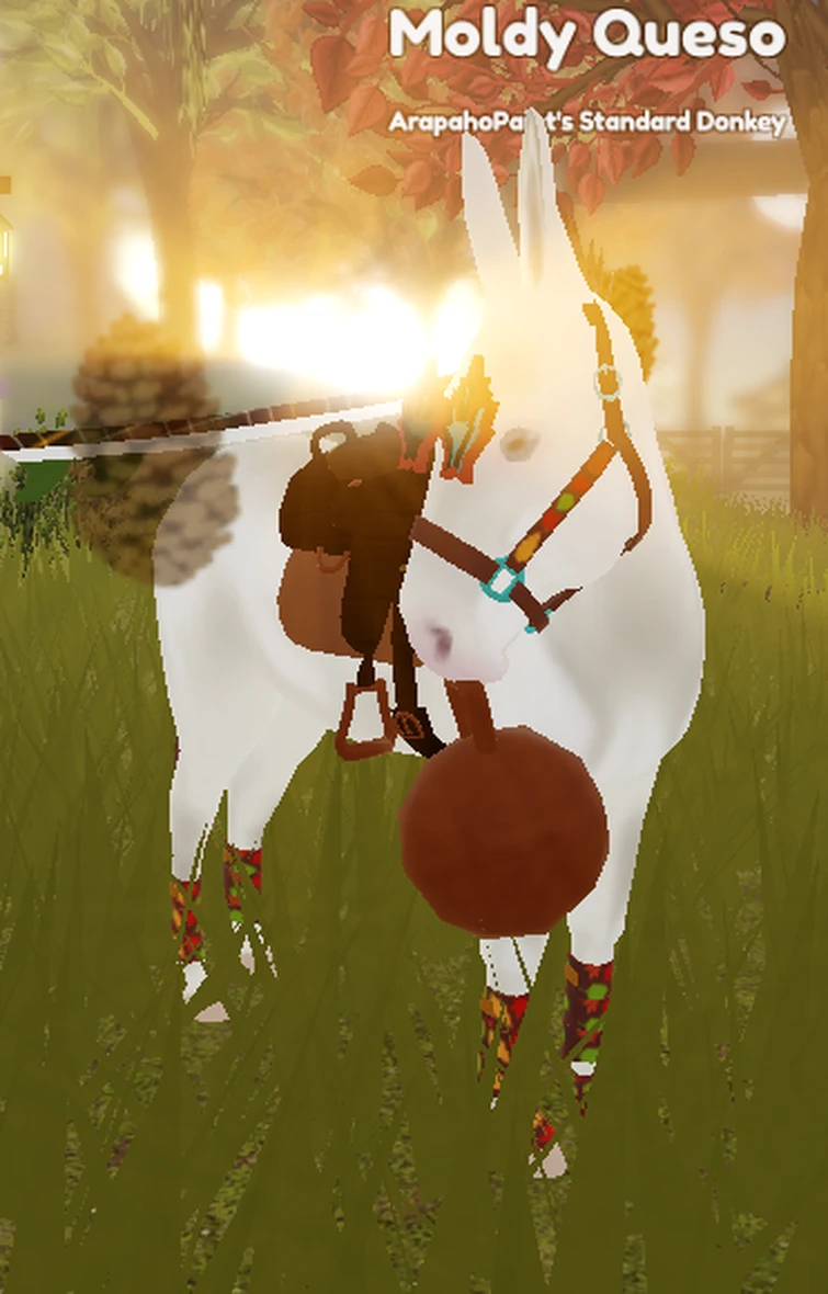 Rate this tack set that I made using accs I don't use 😎 | Fandom