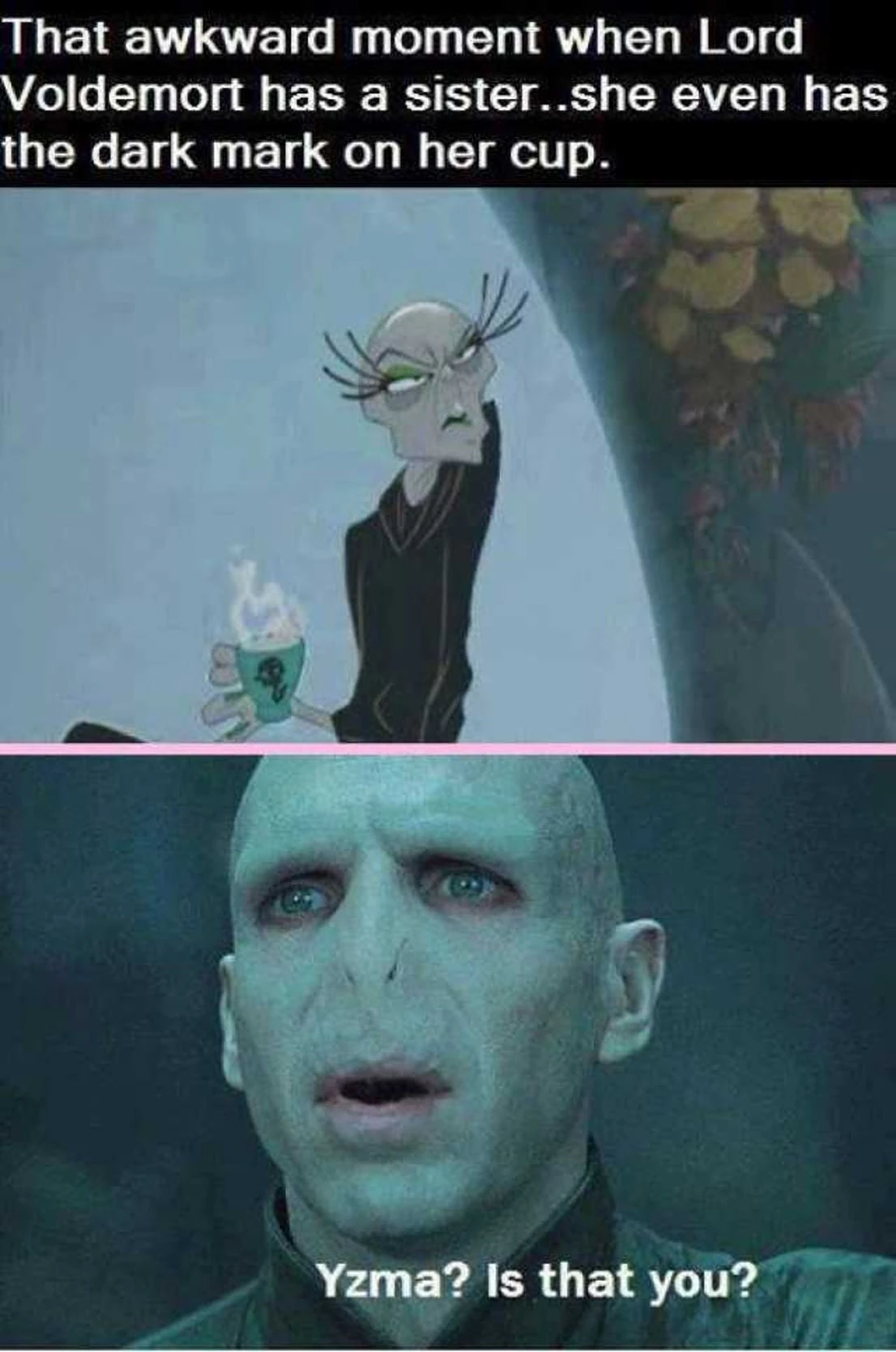 Voldemort Family Is Actually Super Complicated. | Fandom