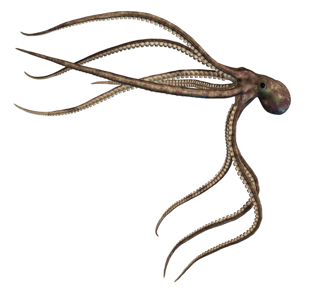 Battle of the Squid Beast Things | Fandom