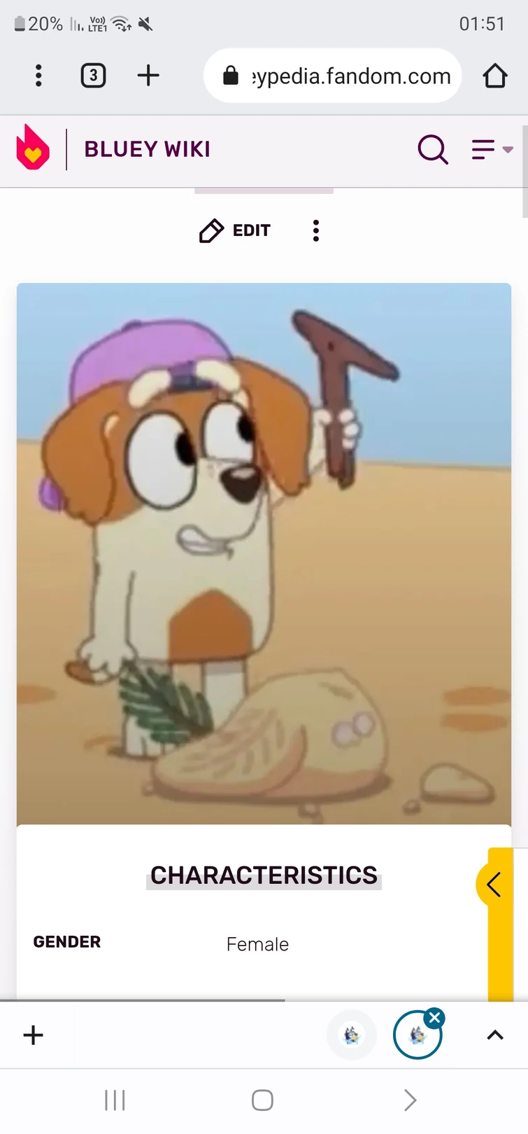 Discuss Everything About Bluey Wiki | Fandom