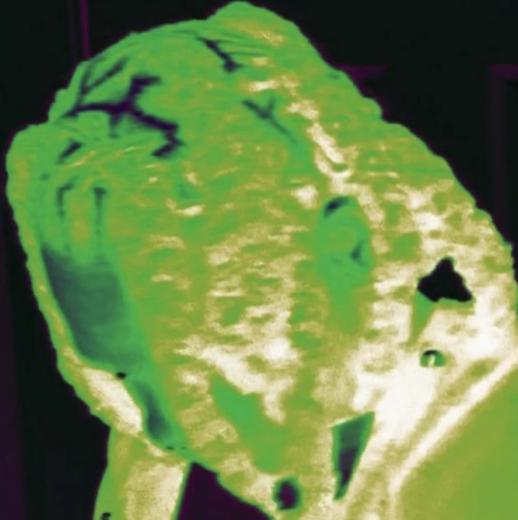 If I Ever Knew This Was It To CJ's Phase 191, It Would've Been Perfect Right Now. | Fandom