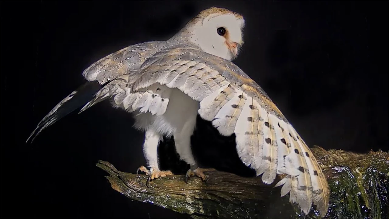 Look at the little Dryer bathing ! 😊 | Fandom