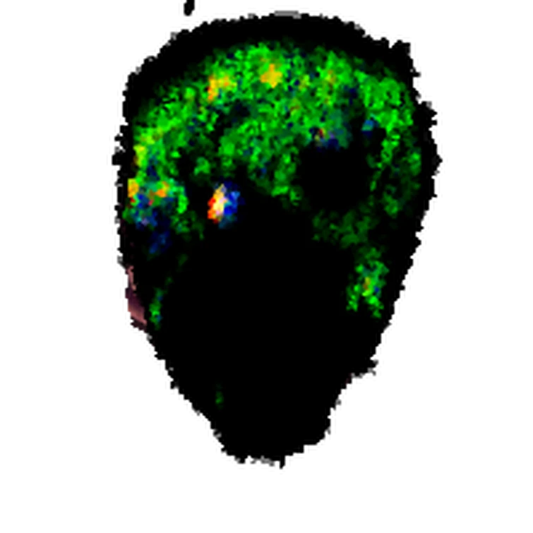 Another entity concept | Fandom