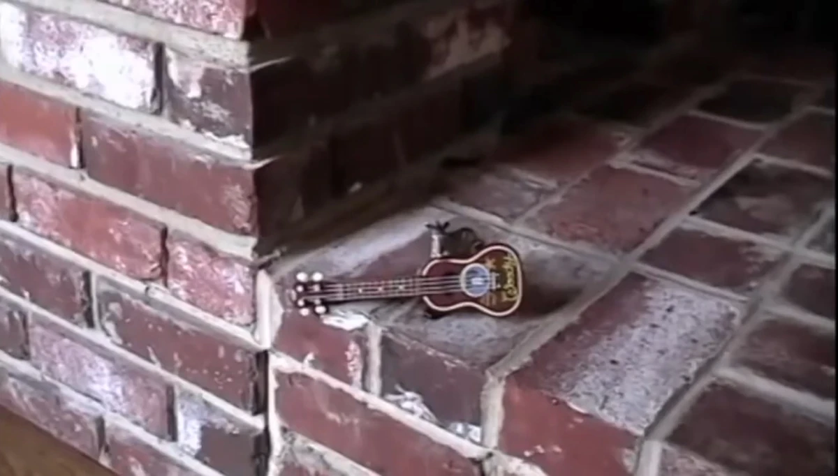 Sam the Zebra | 1983 Studios Wiki | Fandom